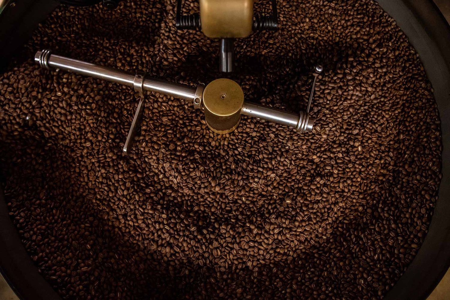 Prevail Coffee
