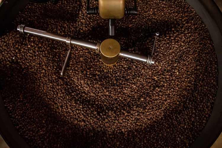 Prevail Coffee